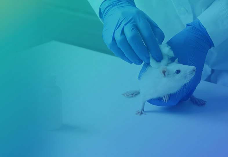 Pharmacokinetic Studies & Services | Dog PK Studies | ADME DMPK | CDMO ...