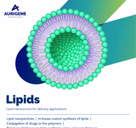 Flyer | CDMO Company | CRO | Aurigene Pharmaceutical Services