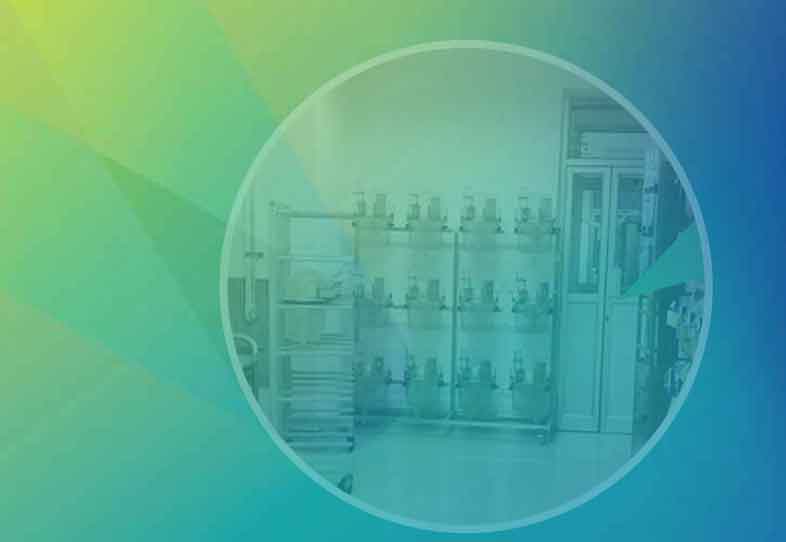 Development of quick quantification method for muscle injury recovery ...